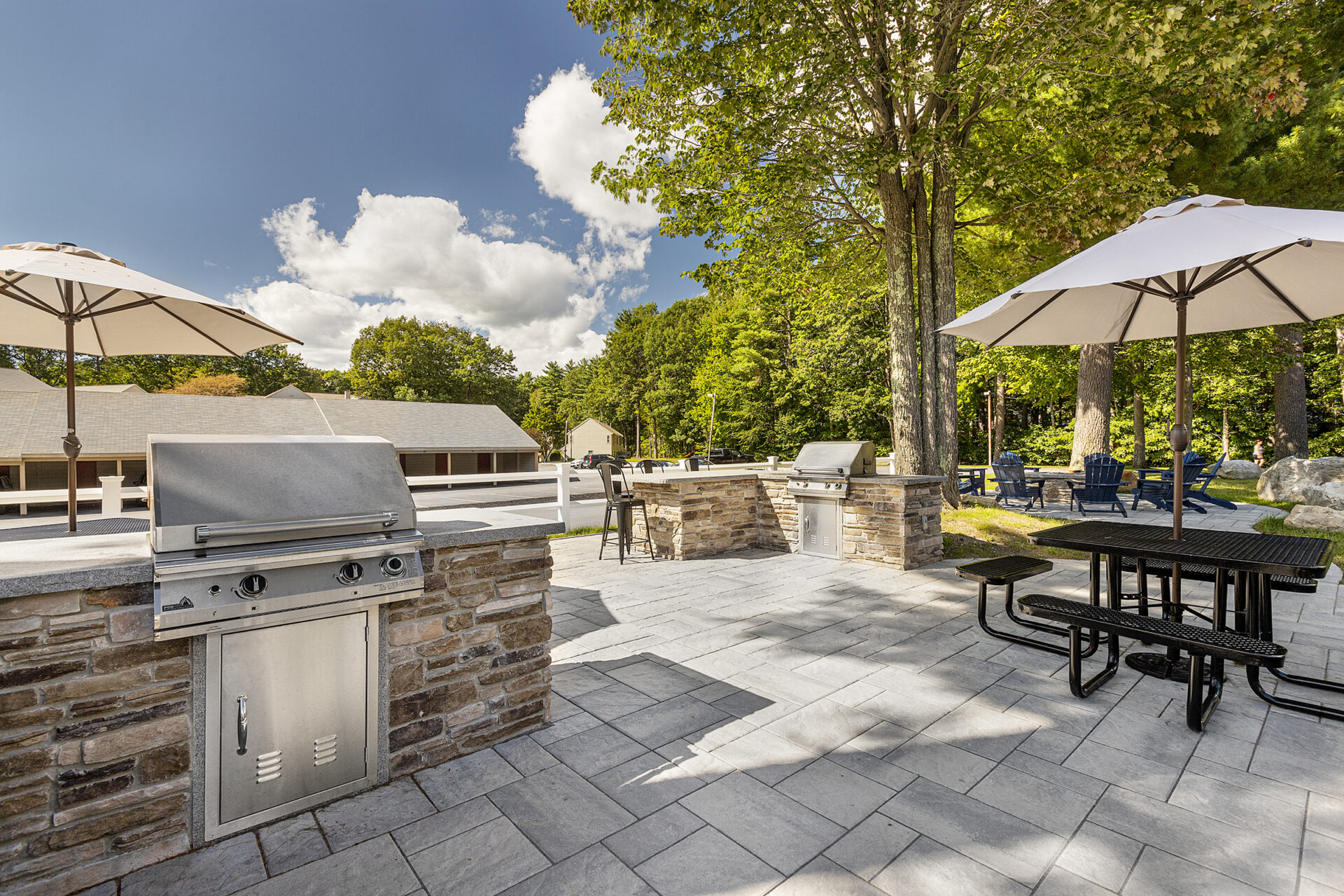 Dex by Terra | Landscape Design & Outdoor Living in MA, RI & NH